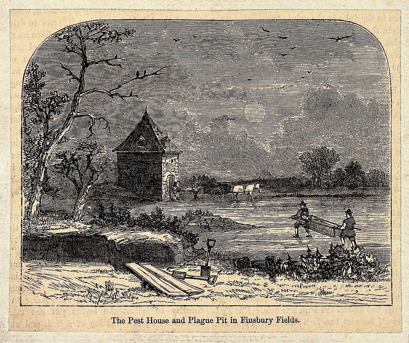 Strange Facts About the History of Coffins and Burial