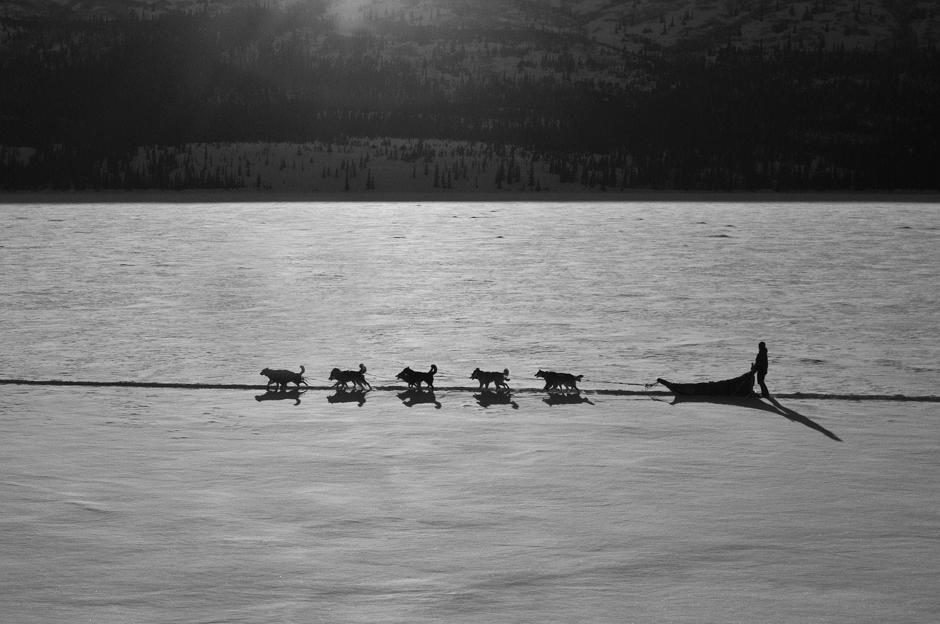 The Most Epic Things the United States Coast Guard Has Ever Done