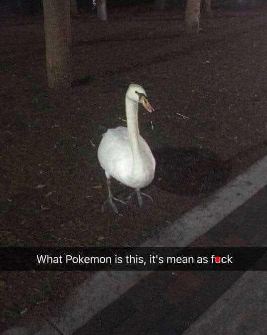 Hilarious Pokemon Go Memes People Are Making