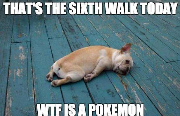 Hilarious Pokemon Go Memes People Are Making