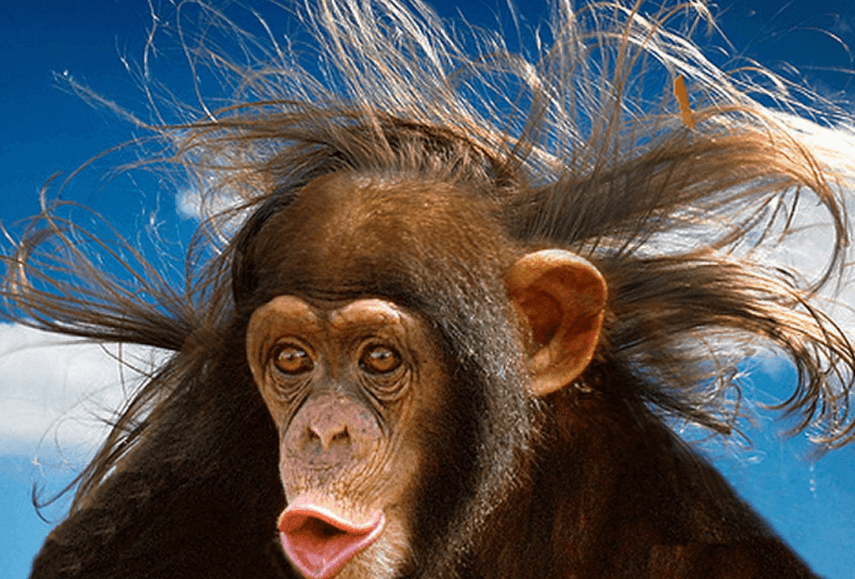 The Funniest 'Windy Day' Photos Ever