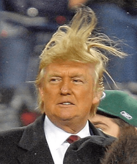 The Funniest 'Windy Day' Photos Ever