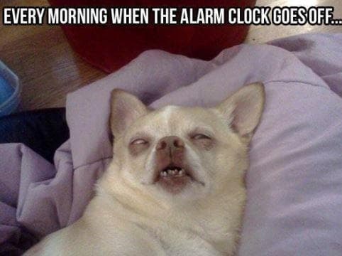 The Funniest Alarm Clock Memes