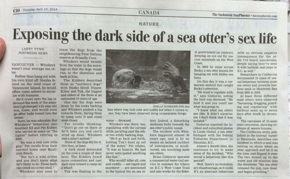 The 26 Most Canadian Headlines Ever Written Eh