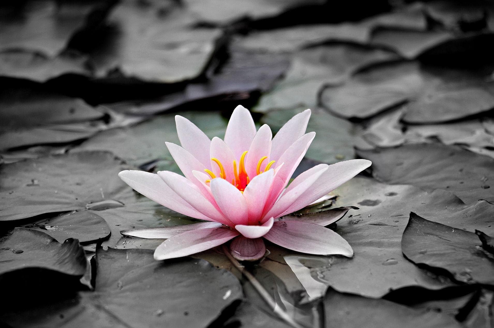 Creepy Chinese Legends and Myths