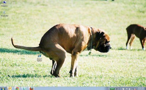Funny Desktop Background Pranks