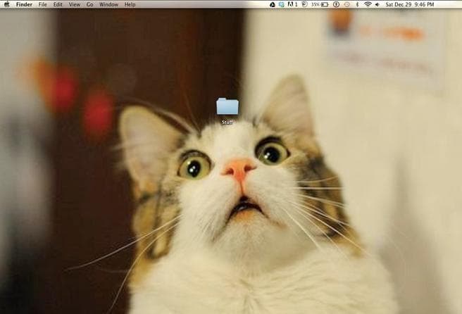The 23 Funniest Desktop Wallpapers on the Internet