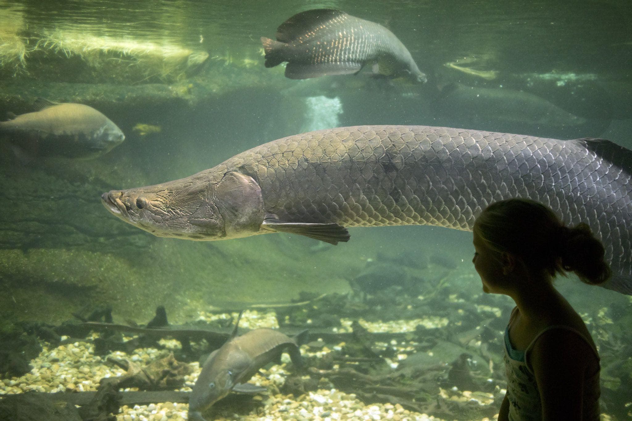 11 Crazy, Creepy Things People Have Found in Rivers (Some on a Daily