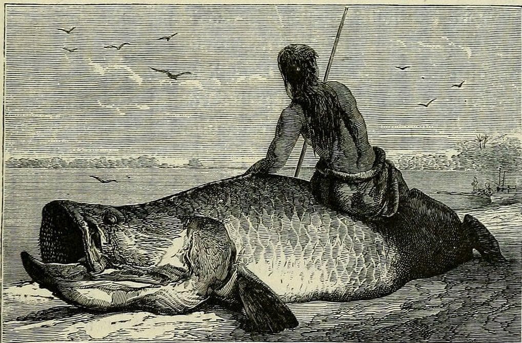 11 Crazy, Creepy Things People Have Found in Rivers (Some on a Daily