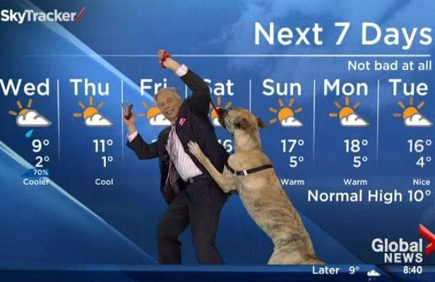 The Funniest Weatherman Photos Ever