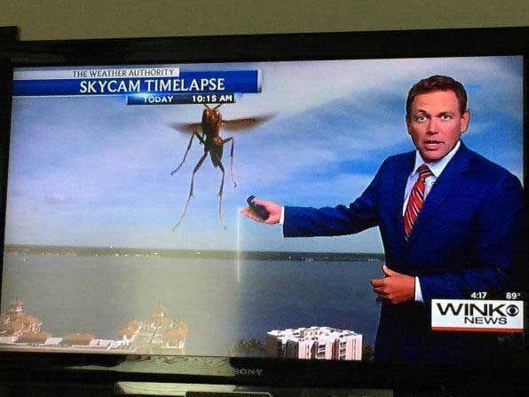 The Funniest Weatherman Photos Ever