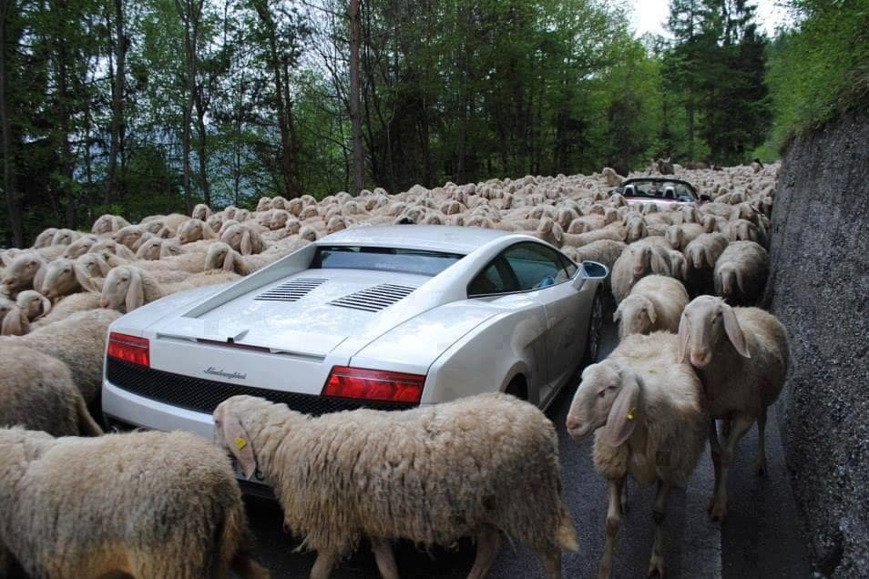 13 Hilarious Traffic Jam Photos That Make Traffic Funny