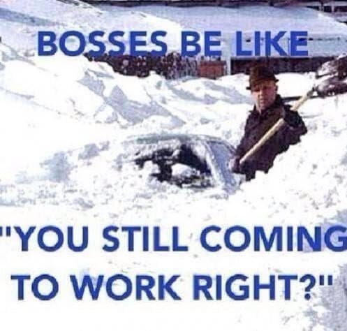 23 Spot-On Work Memes About Office Life