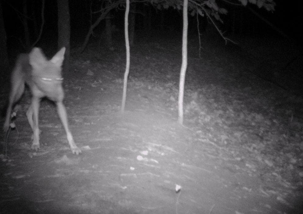 The Creepiest Urban Legends and Stories from Mexico