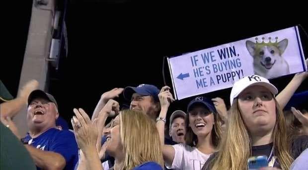 34 Funny Fan Signs at Baseball Games