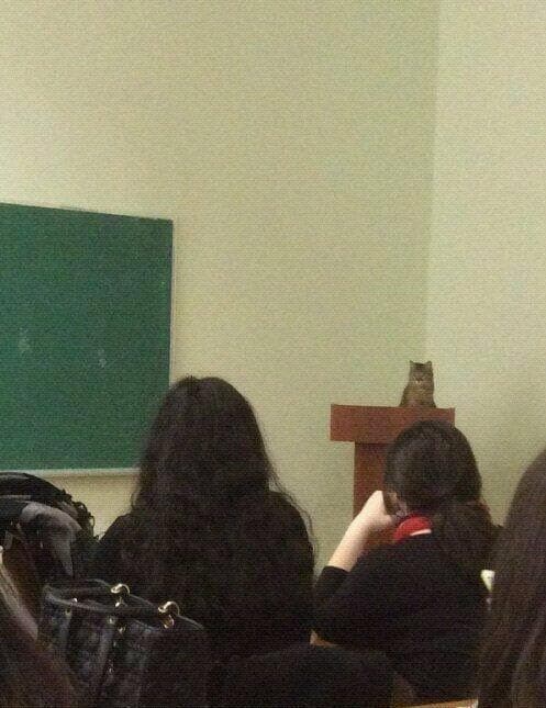 22 Funny Professors Who Will Make You Miss Your College Days