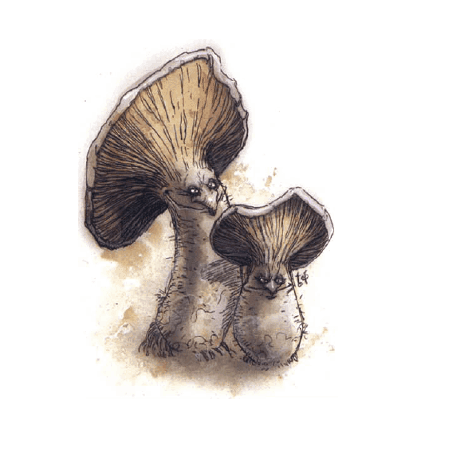 The 23 Silliest and Worst D&D Monsters That Are Hard to Take Serious