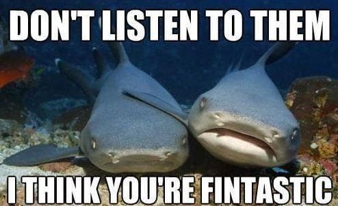 Funny Fish Puns & Sea Creature Memes