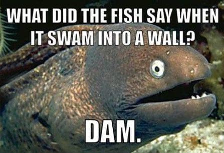 Funny Fish Puns & Sea Creature Memes