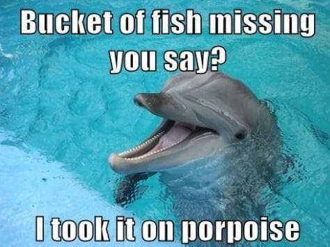 Funny Fish Puns & Sea Creature Memes