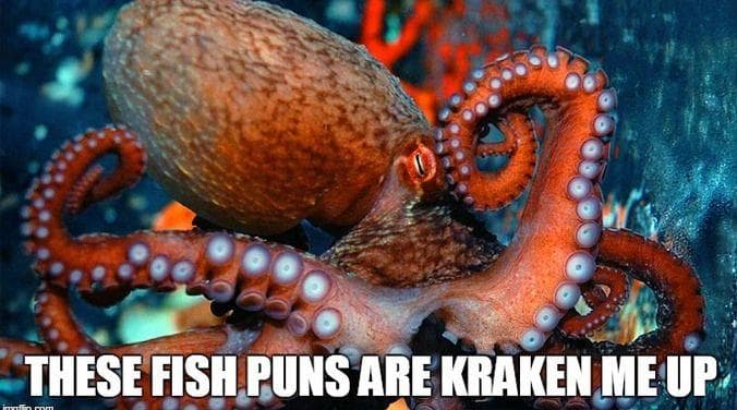 Funny Fish Puns & Sea Creature Memes