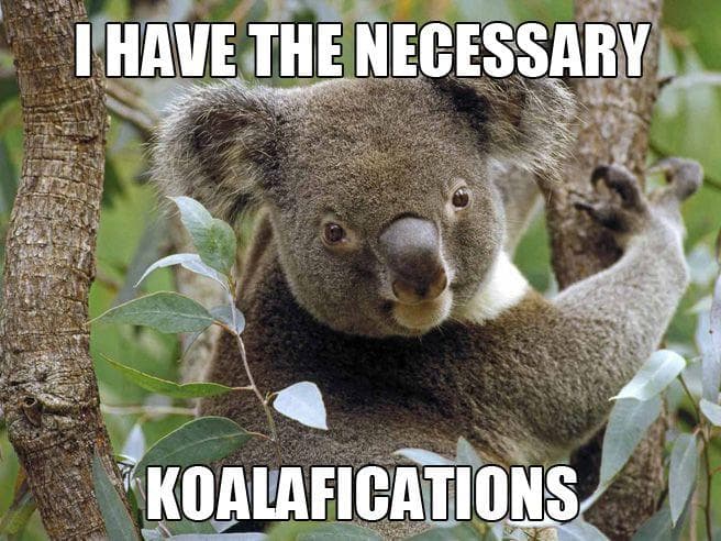 25 Funny Animal Pun Memes You Can't Help But Laugh At