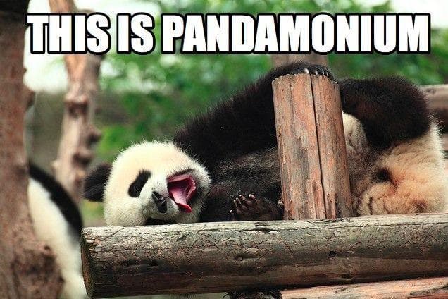 25 Funny Animal Pun Memes You Can't Help But Laugh At