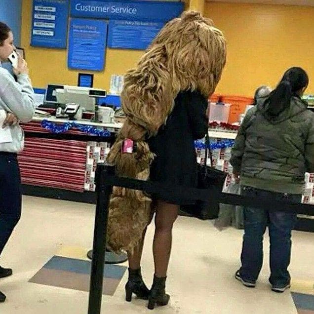 25 Unbeweavable Hair Weaves