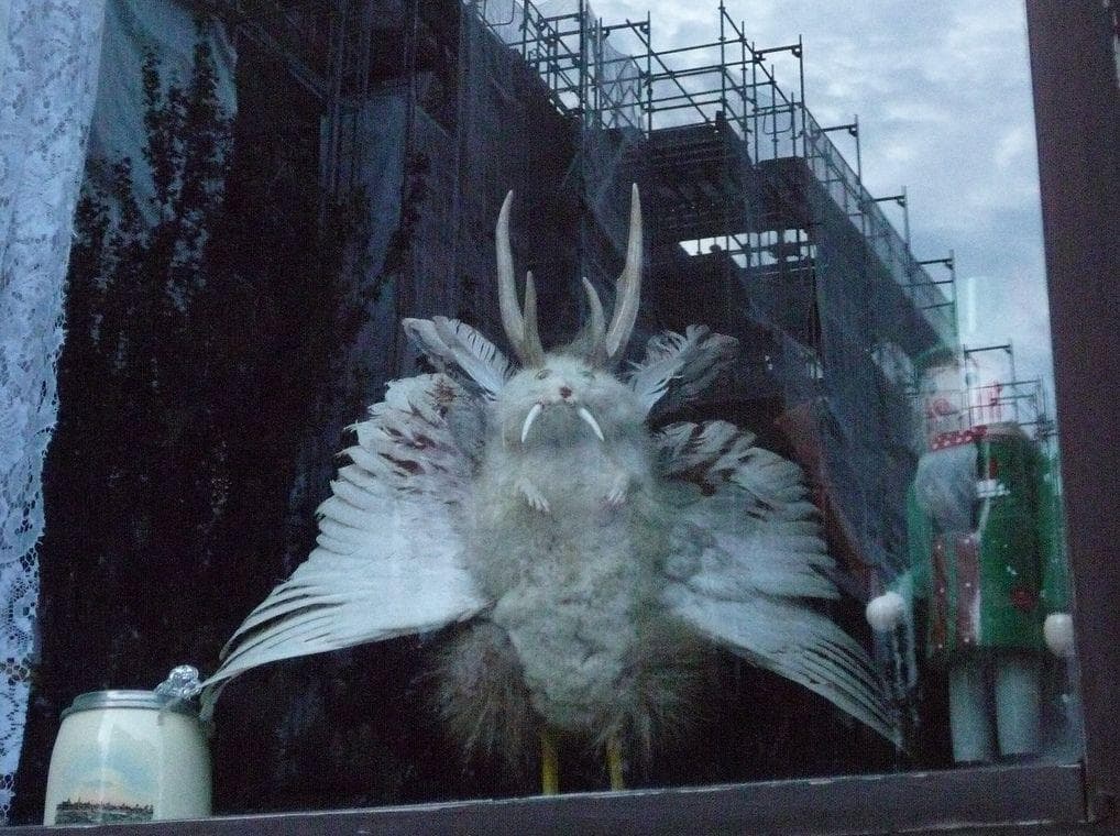 Funny Mythical Creatures That Some People Actually Believe Exist