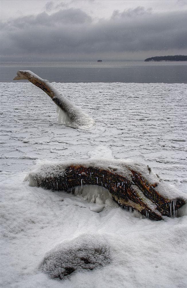 Funny Mythical Creatures That Some People Actually Believe Exist