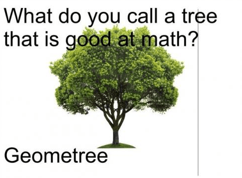 Math Puns | Funny Maths Memes