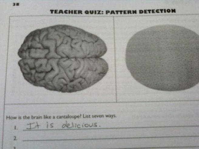 22 Inappropriate Test Answers from Funny Kids