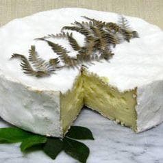 Best Soft Cheeses | List of Soft Cheese Varieties