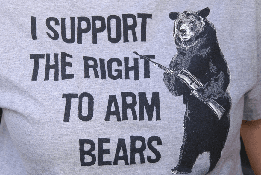 Bear Puns | Funny Bear Memes