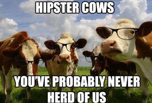 Cow Puns | Funny Cow Memes