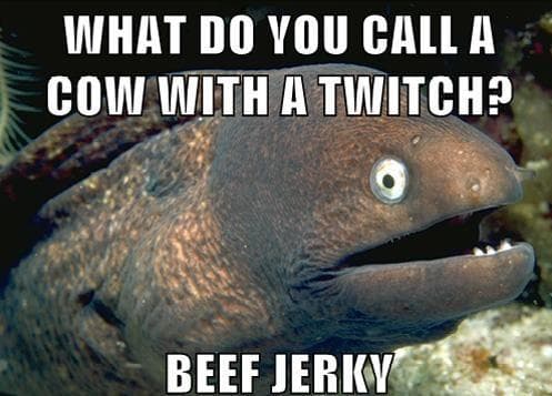 Cow Puns | Funny Cow Memes