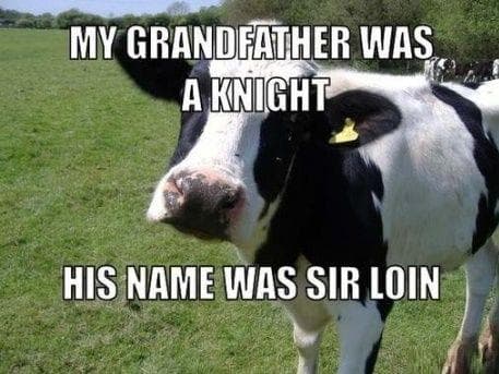 Cow Meme