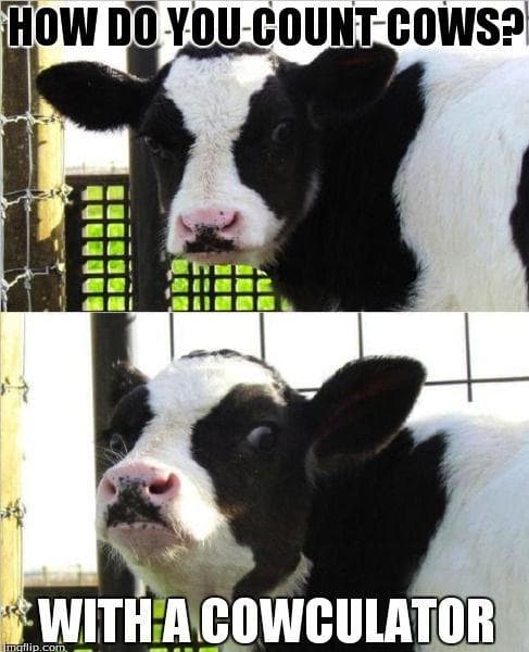Funny Cow Meme