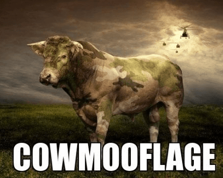 Cow Puns | Funny Cow Memes