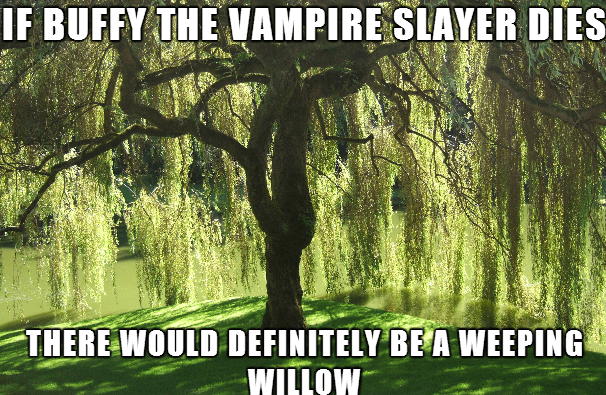 Funny Tree Puns And Memes, Ranked