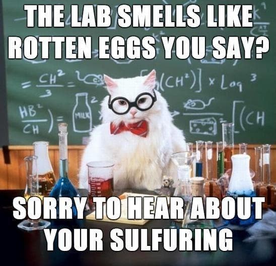 Science Puns | Funny Science Memes