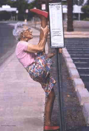The Funniest Bus Stop Photos Ever