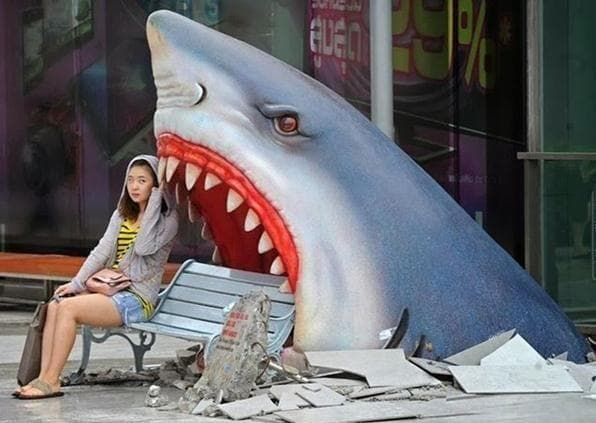 The Funniest Bus Stop Photos Ever