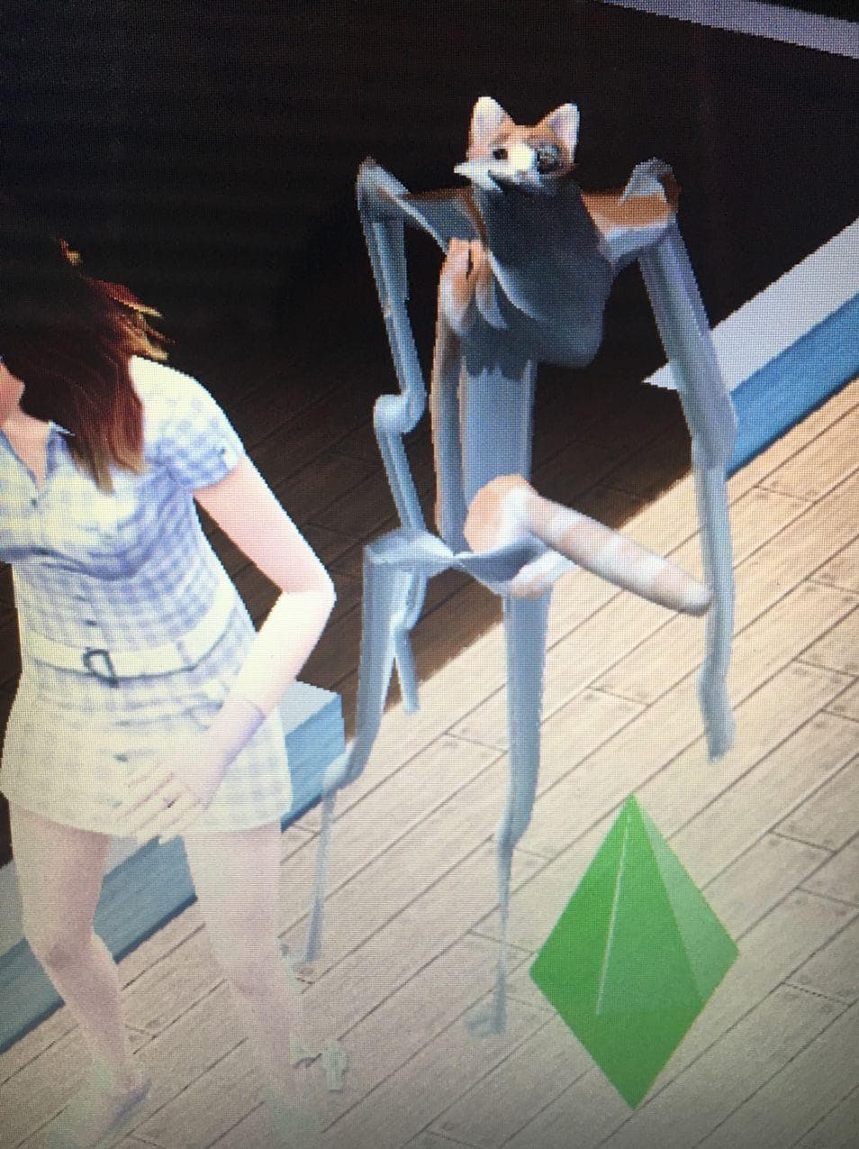 25 Funny Glitches in The Sims Games