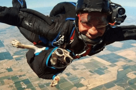 The 16 Funniest Skydiving Photos Ever Taken