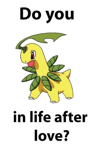 20 Funny Pokemon Name Puns, Ranked By Fans