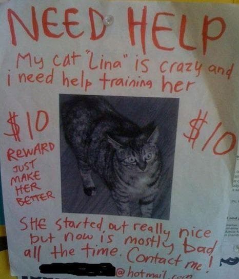 22 Funny Flyers Spotted on College Campuses