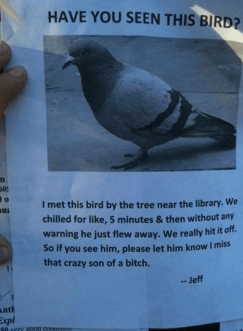 22 Funny Flyers Spotted on College Campuses