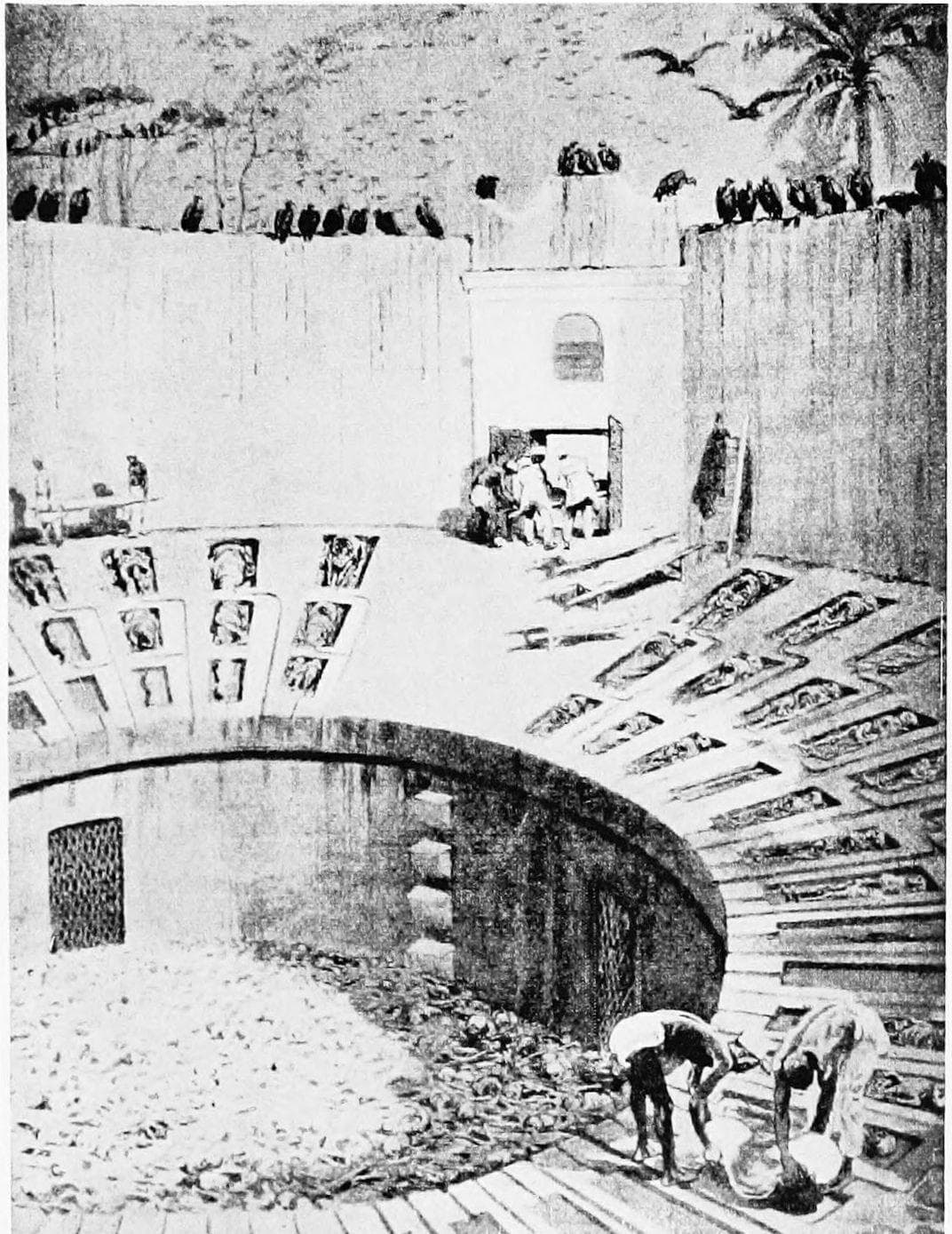 10 Facts on Zoroastrian Funerals, Where They Feed the Dead to Vultur