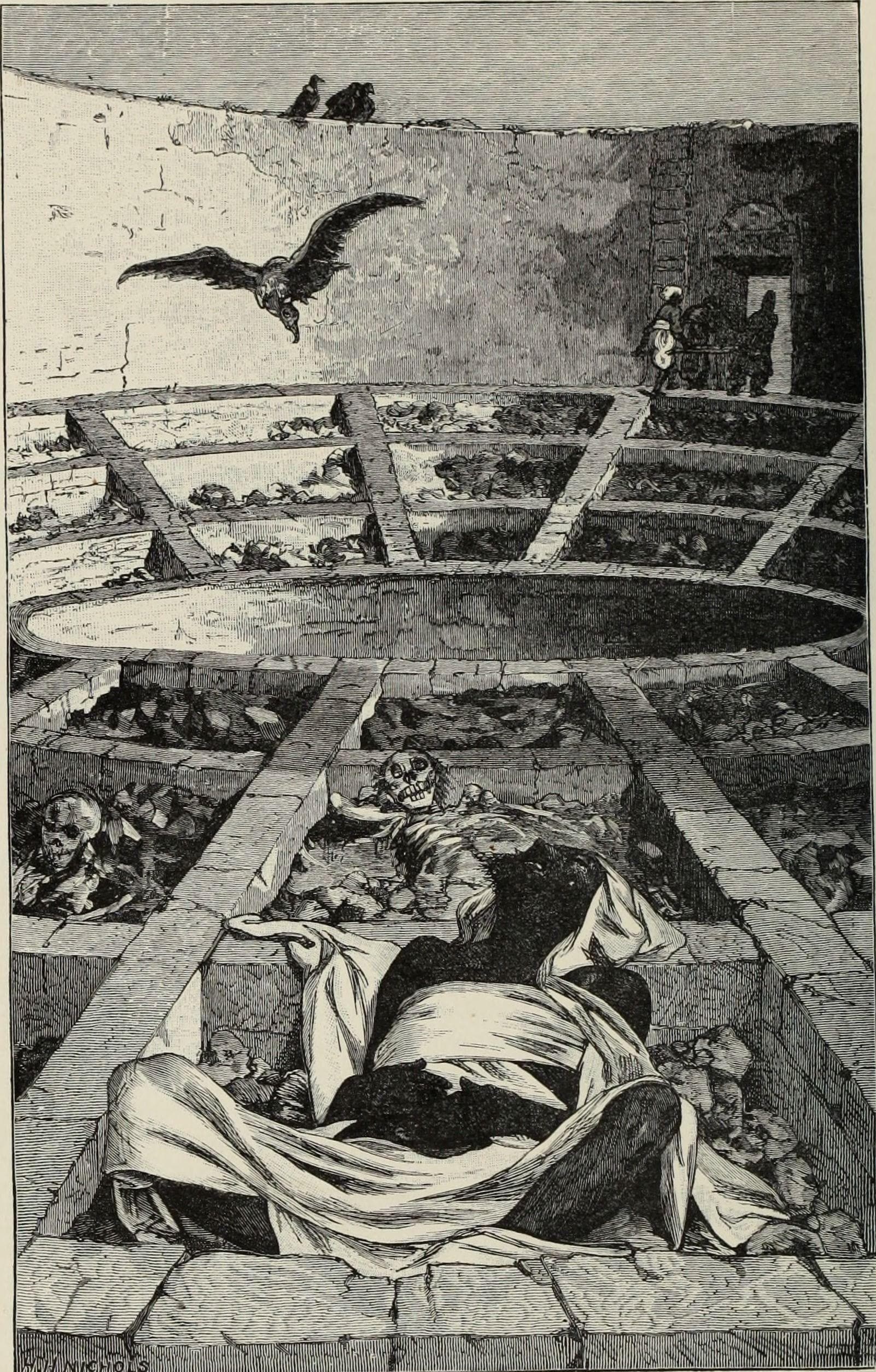 10 Facts on Zoroastrian Funerals, Where They Feed the Dead to Vultur